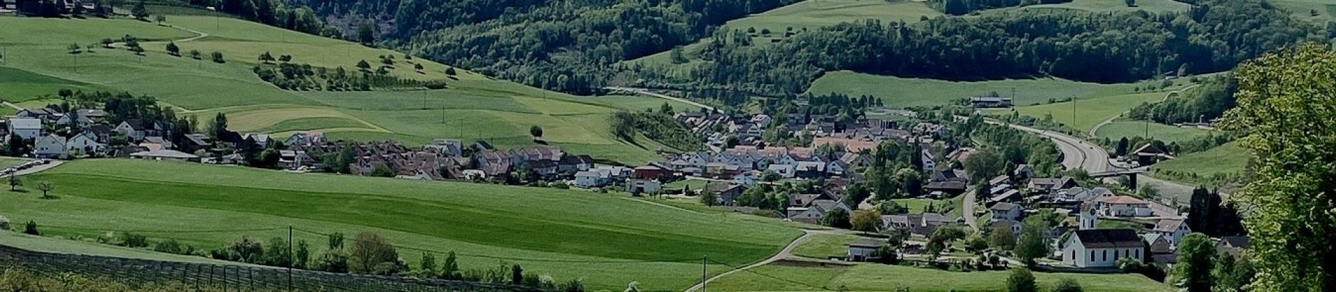 Gemeinderat | Gemeinde Diegten